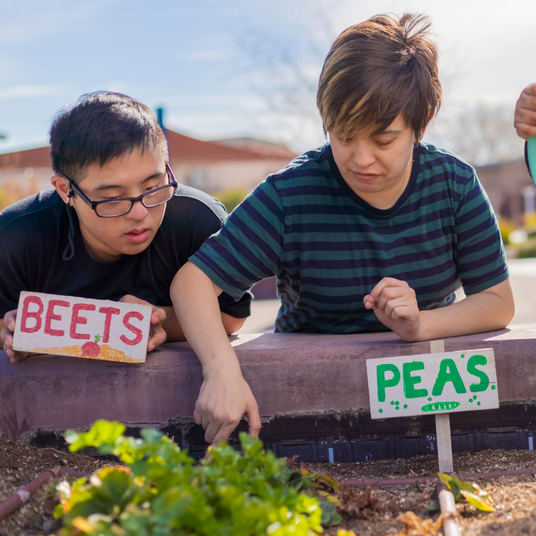 Enhancing Lives Through Play: The Benefits of Recreational and Leisure ...