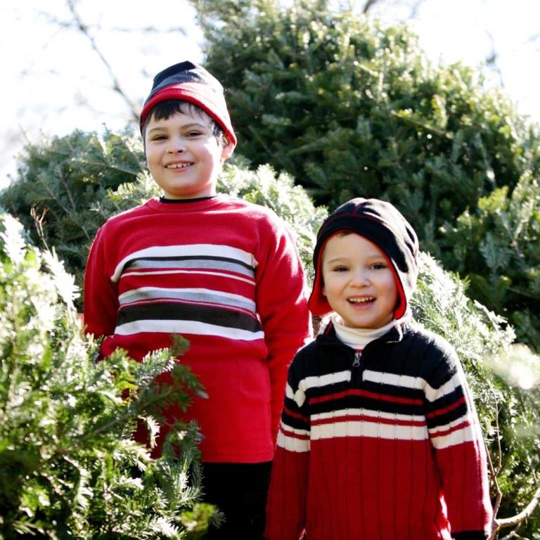 Homepage - The J. Arthur Trudeau Memorial Center